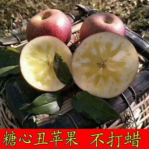 大凉山泸沽湖盐源野生糖心丑苹果孕妇脆甜水果现摘十斤非云南昭通虎窝淘