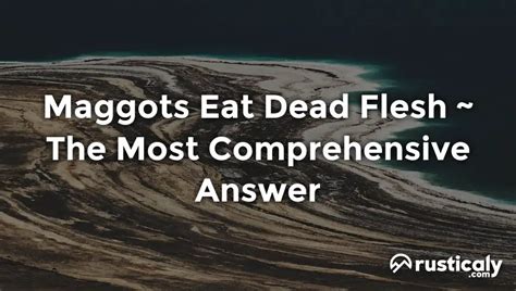 Maggots Eat Dead Flesh Heres What You Should Know About It