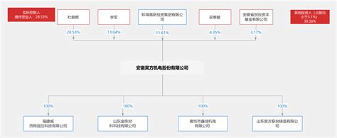 股权穿透图 流程图模板 ProcessOn思维导图流程图