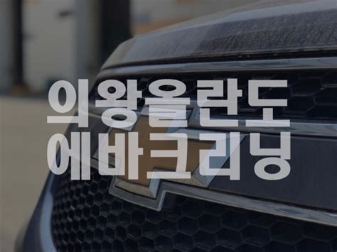 쉐보레 올란도 에바크리닝 그랜져hg 퓨어그래스 코일매트 네이버 블로그