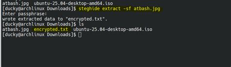 Picoctf Hidetosee Cryptography Challenge Walkthrough Aathil Ducky