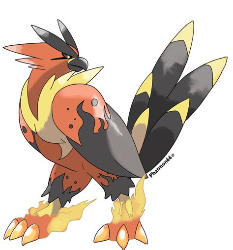 Mega Talonflame Fire Flying Arte Pokemon Pokemon Pokemon Personajes