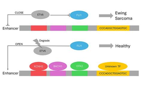 Kmap Figure 2 Image Eurekalert Science News Releases