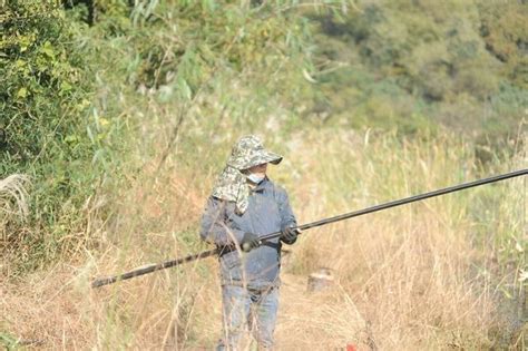 老阁主写诗第40期野钓差点被狗撵鱼没钓到反而赔了钓竿 知乎