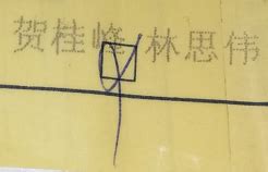 Chinese English I Was Just Sent A Package With This Checked As The