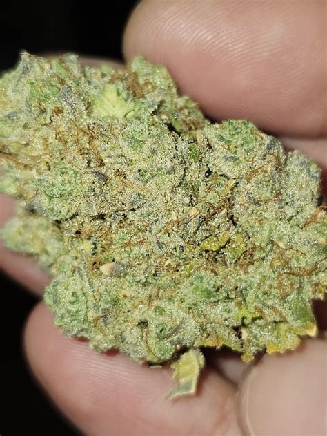 Tuck Shop Frosty Kong R Canadiancannabislps