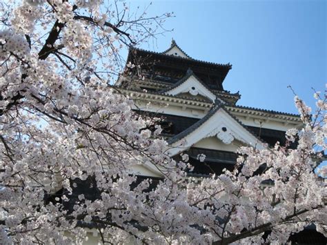 日本九州｜專屬包車一日遊｜阿蘇中岳火山 And 草千里 And 熊本城 And 水前寺成趣園 And 太宰府天滿宮 And 湯布院 And 別府海地獄・灶地獄 And 高