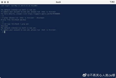 从 Zsh 回到 Bash By Yin Wang 垠的备忘录