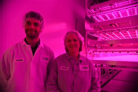 Vertical Farming Allows Year Round Growing