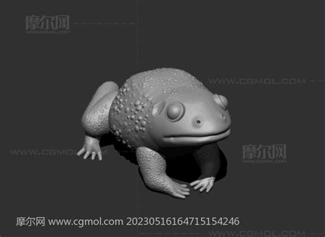一只蟾蜍zbrush模型爬行动物模型下载 摩尔网cgmol