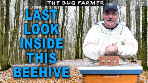 Queenless Beehive Winter Coming Bees Beekeeping Beekeeping101