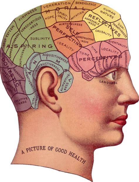 Memory Clipart Empty Brain Picture 1640751 Memory Clipart Empty Brain