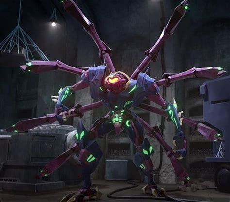 This Look For Tarantulas R Transformers