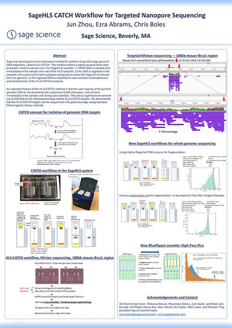 Sagehls Catch Workflow For Targeted Nanopore Sequencing