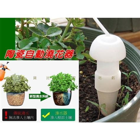 陶瓷自動澆花器 自動滴水器 自動澆花 家用滴灌澆花器 灑水 自動澆水器 盆栽滲水器 點滴式滴灌器 點滴式懶人澆水 花卉 蝦皮購物
