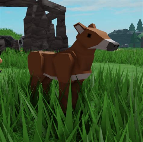 Deer Roblox The Survival Game Wiki Fandom