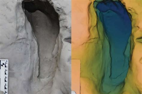 The Birth Of Modern Man Fossilized Footprints Reveal Two Extinct