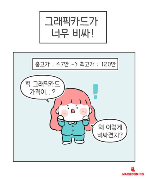 그래픽카드가 너무 비싸 마루코믹스