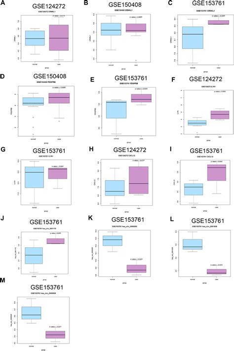 Frontiers Long Non Coding Rnas H19 And Hotair Implicated In Intervertebral Disc Degeneration