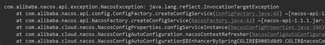 Alibaba Nacos Api Exception Nacosexception Java Lang Reflect Invocationtargetexception