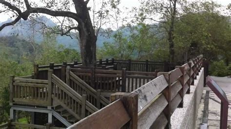 台南關子嶺紅葉公園 Youtube