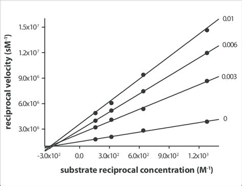 Double Reciprocal Plot For Human Erythrocytes Ache Acetylthiocholine Download Scientific