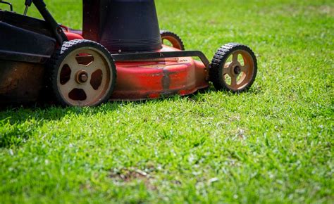 Top 5 Best Walk Behind Edgers 2024 Guides By Rebatekey