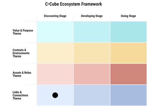 Entrepreneurial Ecosystems Illuminate Interdependence C•cube