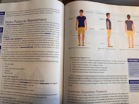 How To Conduct A Postural Assessment A Guide 2024