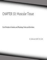 ANAT 1551 Chapter 10 Lecture CHAPTER 10 Muscular Tissue From