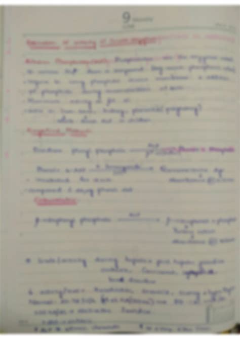 Solution Liver Function Tests Studypool