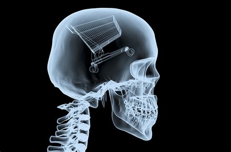 Como Funciona Nuestro Cerebro Archivos Neurolabs