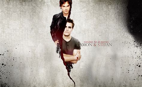 Brothers Damon And Stefan Salvatore Photo 21648355 Fanpop