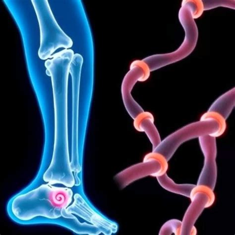 New Study Uncovers Genetic Connection To The Most Common Pediatric Bone