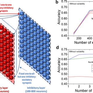 SNN Architecture And Recognition Accuracy A The Input Neurons
