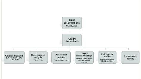 Schematic Diagram Of Experiments Performed Download Scientific