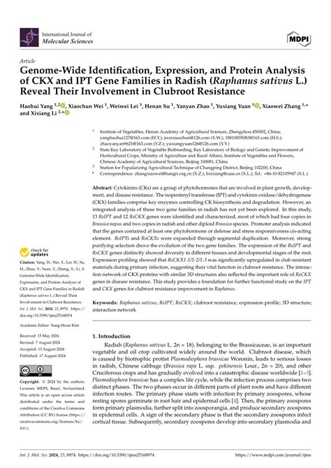 Pdf Genome Wide Identification Expression And Protein Analysis Of