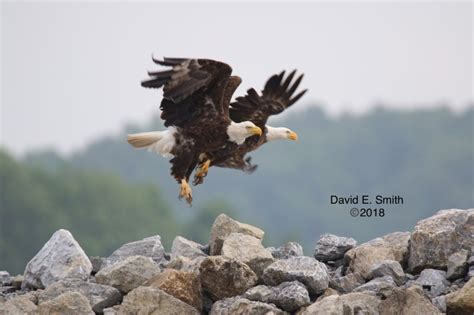 Dave Smitty Smith On Linkedin Work Is A Necessity One Of My