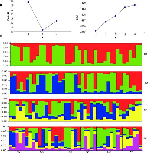 genetic cluster identified by bayesian analysis using structure and