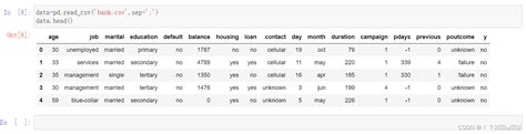 如何从uci中下载银行营销数据集以及如何在anaconda3的jupyter Notebook中导入银行营销数据集（bank