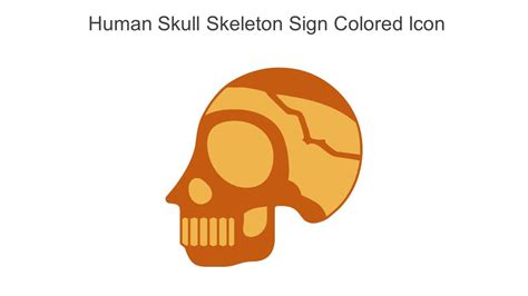 Human Skull Skeleton Sign Colored Icon In Powerpoint Pptx Png And Editable Eps Format PPT PowerPoint