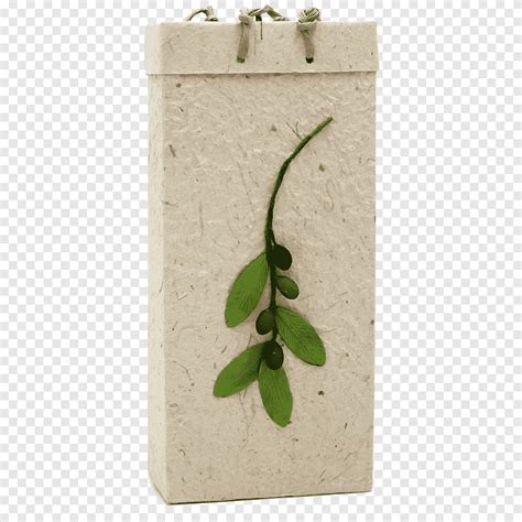 올리브 오일 와인 식품 장식용 올리브 가지 음식 잎 Png Pngegg