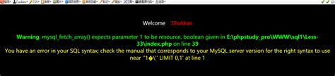 sqli labs less 33 csdn博客