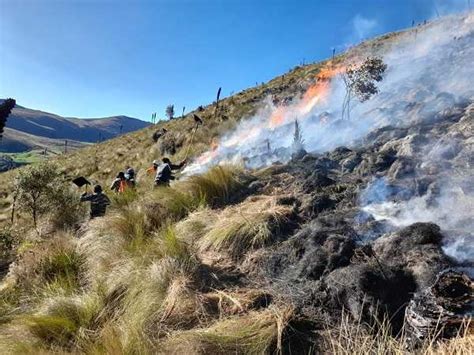 Incendios Consumen 271 Hectáreas De Bosque Y Pajonales En Azuay El
