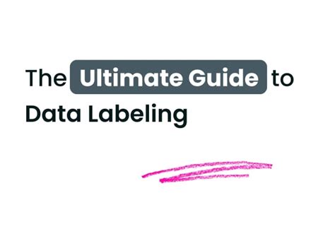 Data Labeling Management Optimize Your Ai Training Process Kairntech