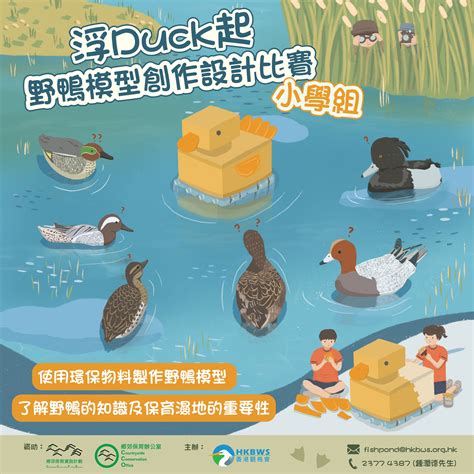 【浮duck起野鴨模型創作設計比賽 Hong Kong Bird Watching Society 香港觀鳥會
