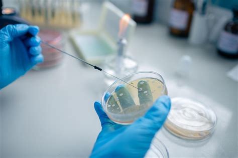 Premium Photo Scientist Conducting Chemical Research On Microbes Or