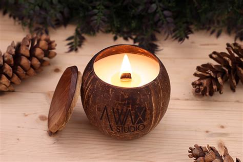 Coconut Shell Container With Wooden Lid