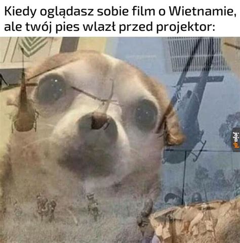 Sio Jeja Pl