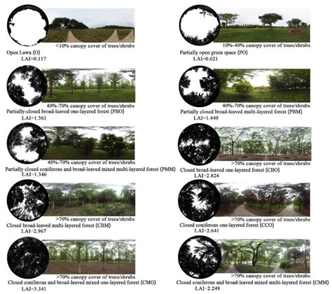 Figure 2 From Differences In Airborne Particulate Matter Concentration In Urban Green Spaces
